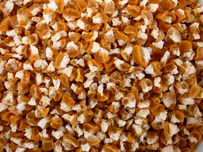 From Seed To Table: Corn Chicos