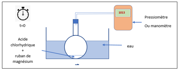 Suivi d'une transformation chimique par mesure de pression | Site des ...