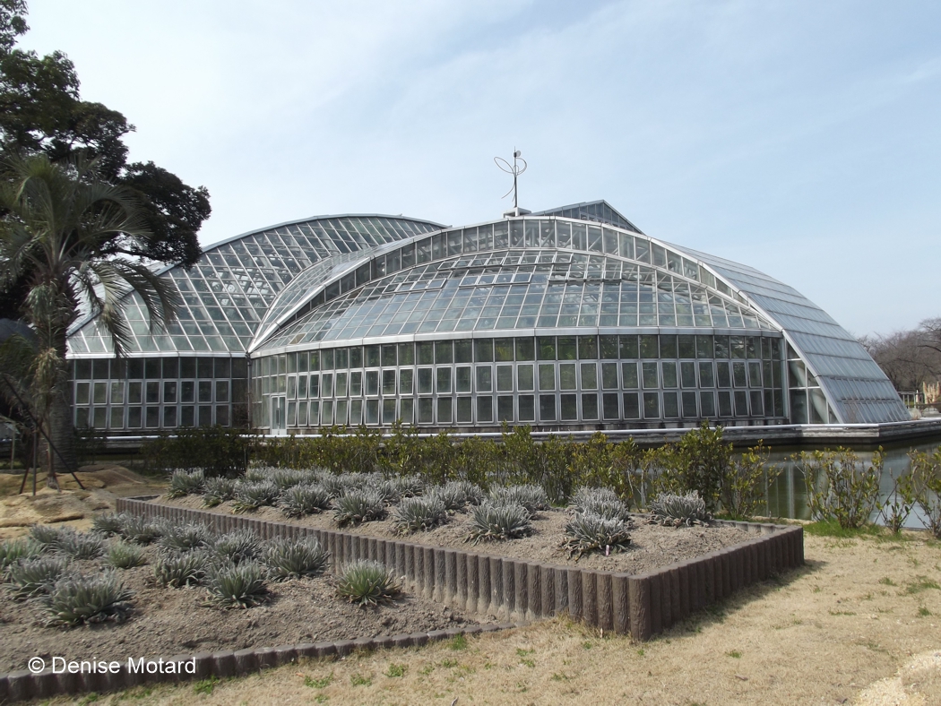 KYOTO BOTANICAL GARDENS CONSERVATORY