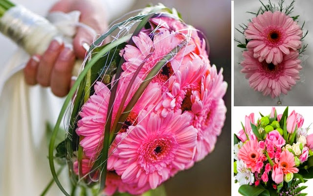 Gerberas wedding flower ~ wedding flowers ideas