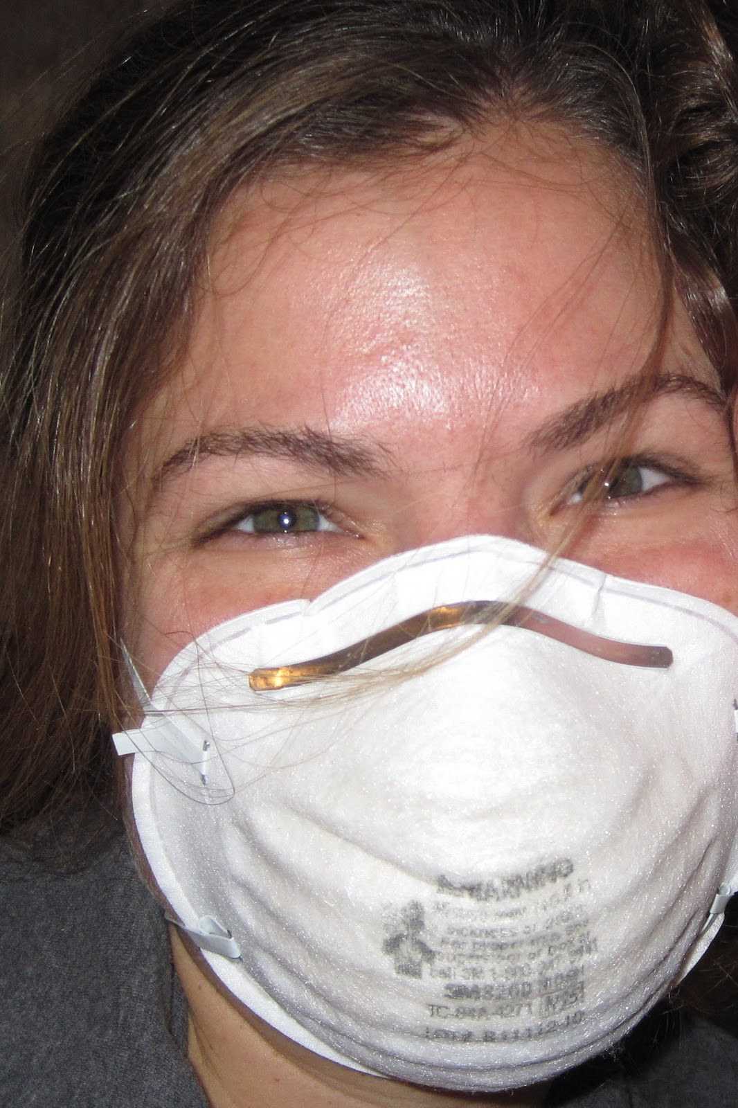 taupe and lime: the great basement redo: demolition