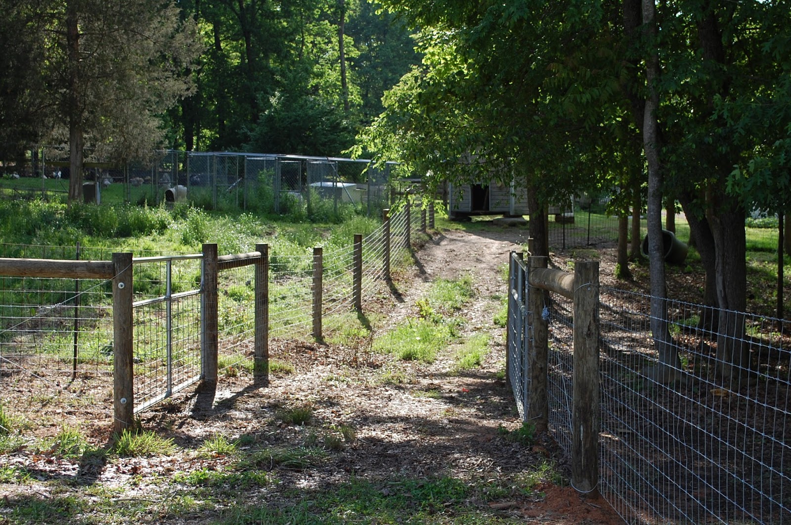 Life on the Homestead: Fencing Finished