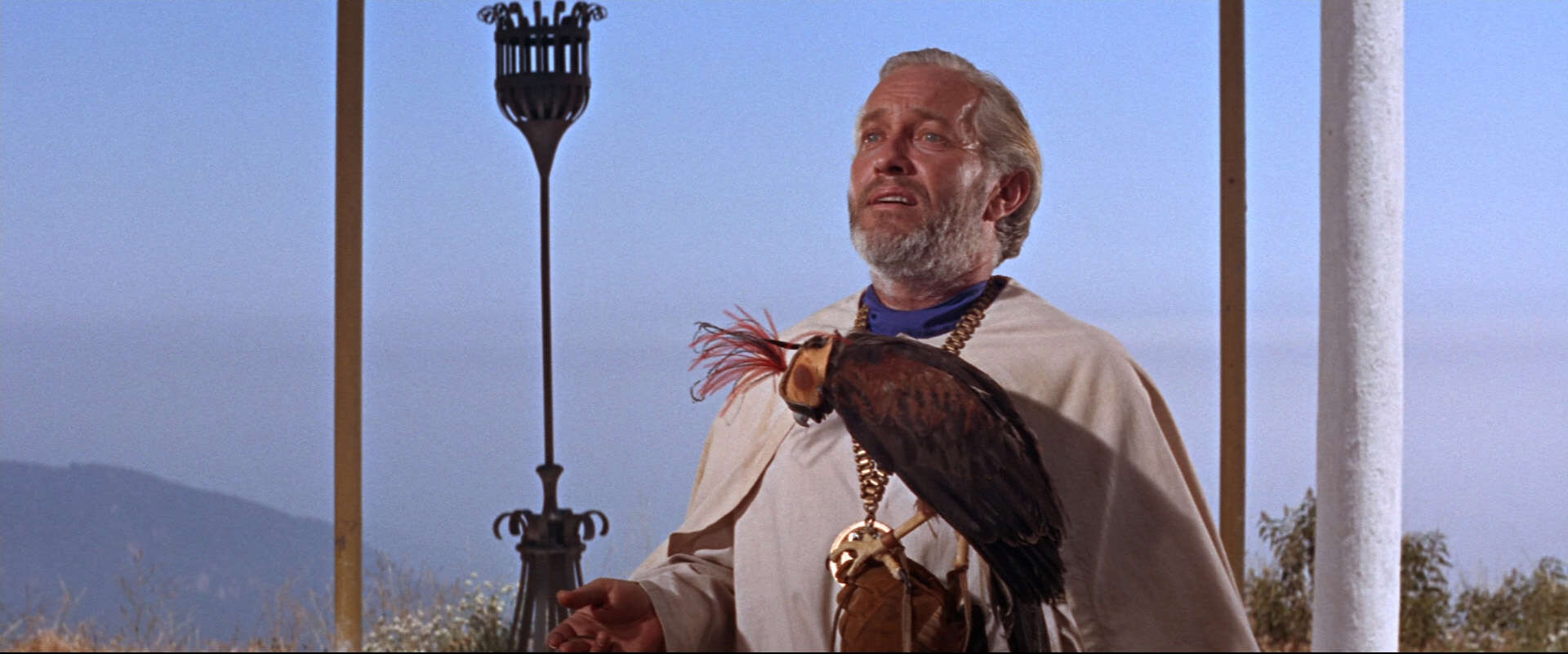 Accidental Enlightenment