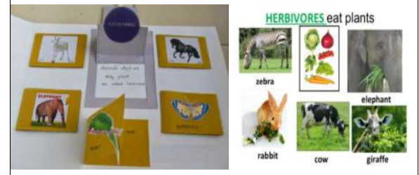 2021-22 SCIENCE (GRADE 6 A,B) CH 1 SOURCES OF FOOD (TOPICS TAUGHT AND ...