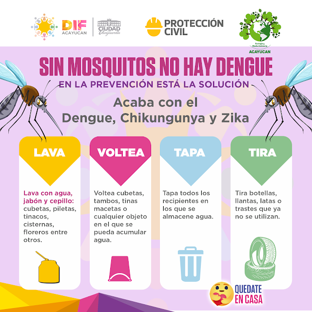 TRIBUNA del Sur/ Acayucan: Medidas de prevención para evitar el dengue ...