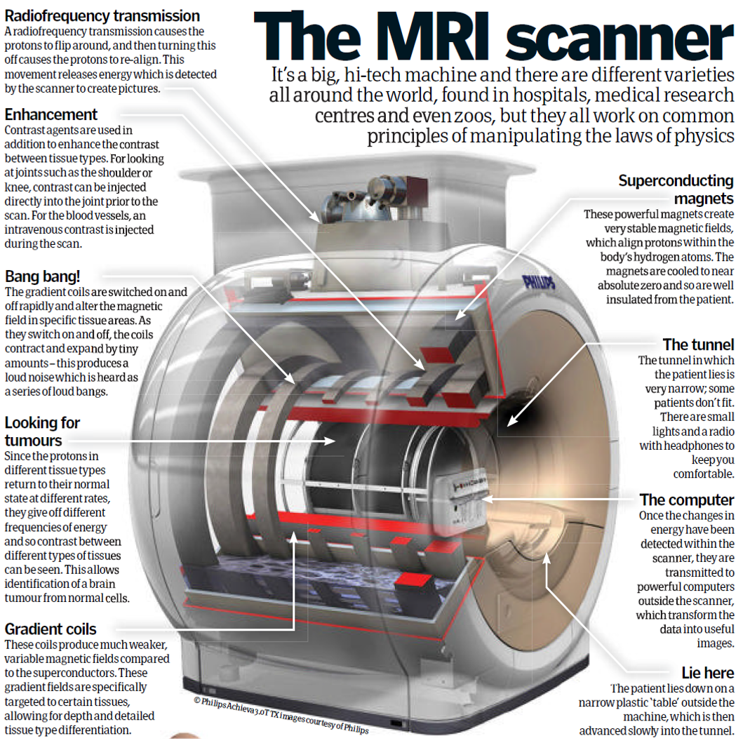 Inside an MRI scanner