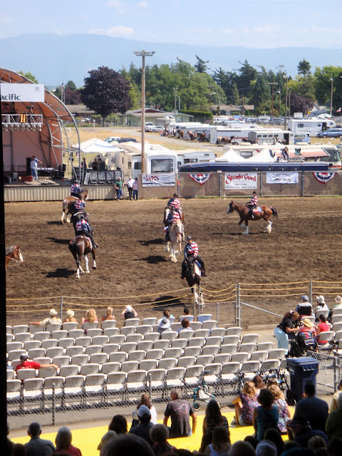 Herding Grasshoppers: The Lynden Fair
