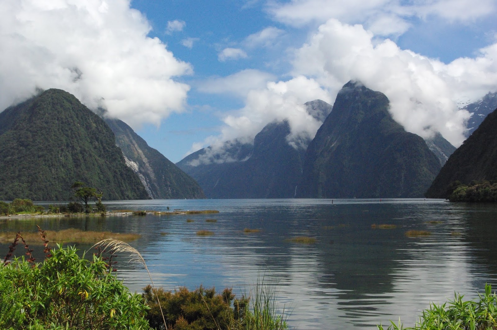 Paren el mundo que me subo: AOTEROA