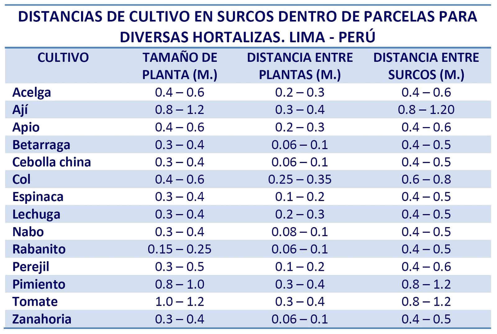 ALTERNATIVA ECOLÓGICA: USO DE LOS SURCOS EN EL BIOHUERTO