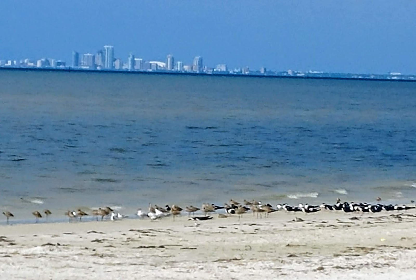 Another Mile Another Destination Blog: Seascapes Restaurant, Beach, and ...