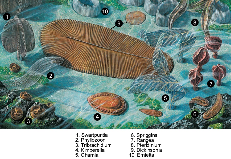 Palaeos, la historia de la Vida en la Tierra: febrero 2013