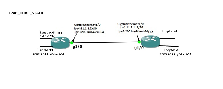 The Telecom Networking Ipv6 Dual Stack