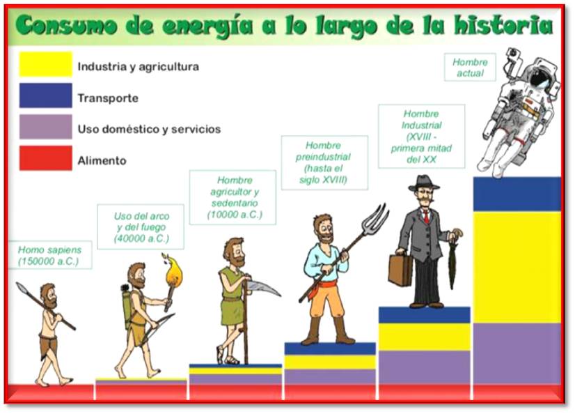 Biomasa: Reseña Histórica