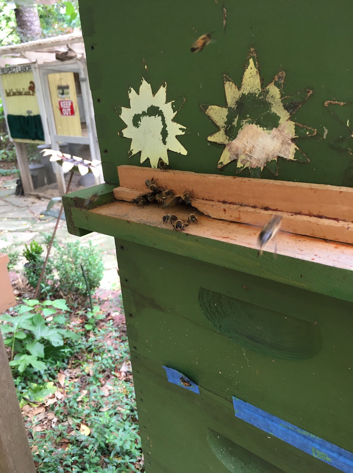 bee surprised: condensation on cloake board