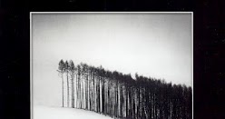 Thomas Cálculo una Variable (12º edición) | Apuntes Usach