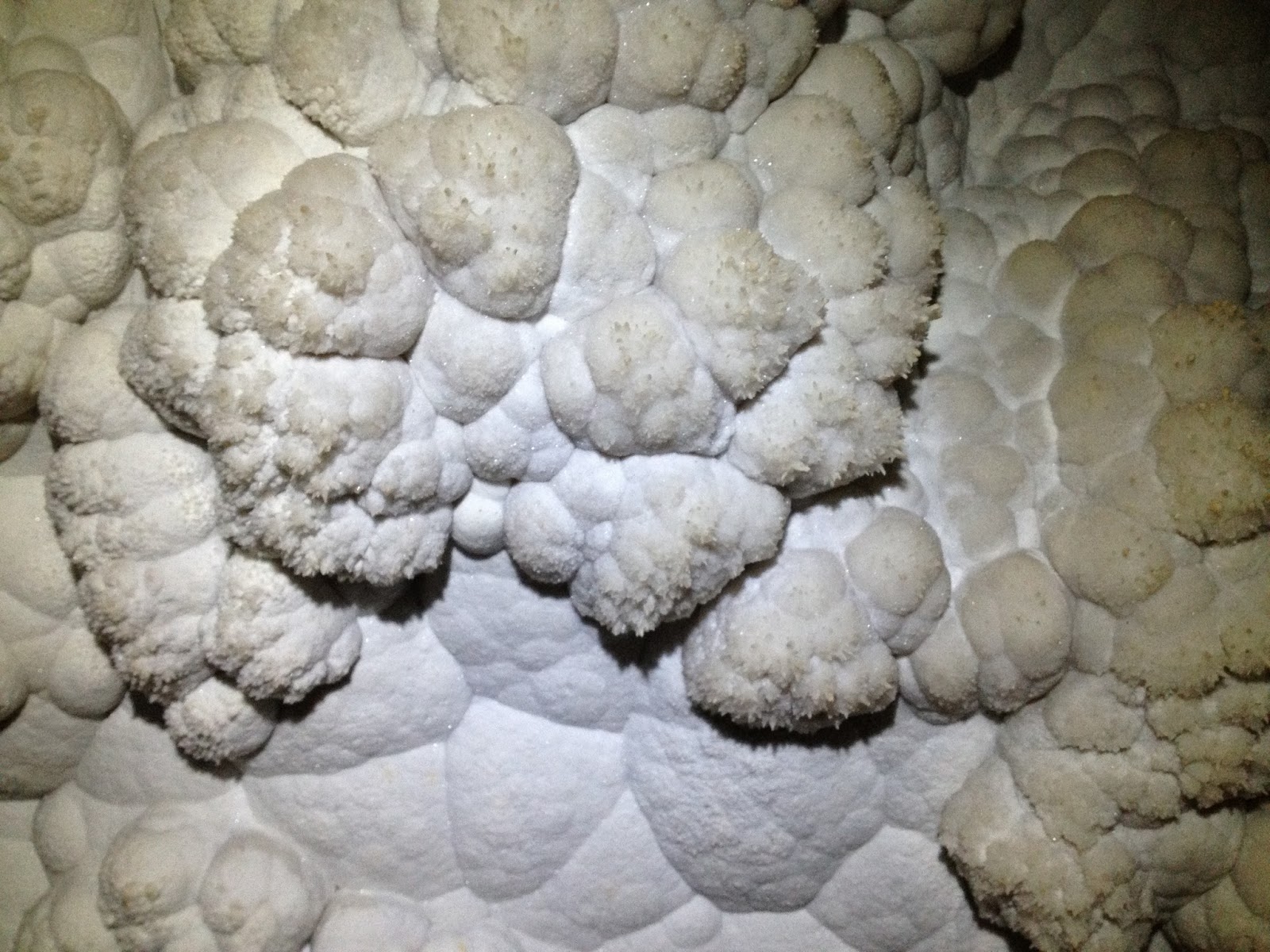 theBRIGADE: Goshute Cave