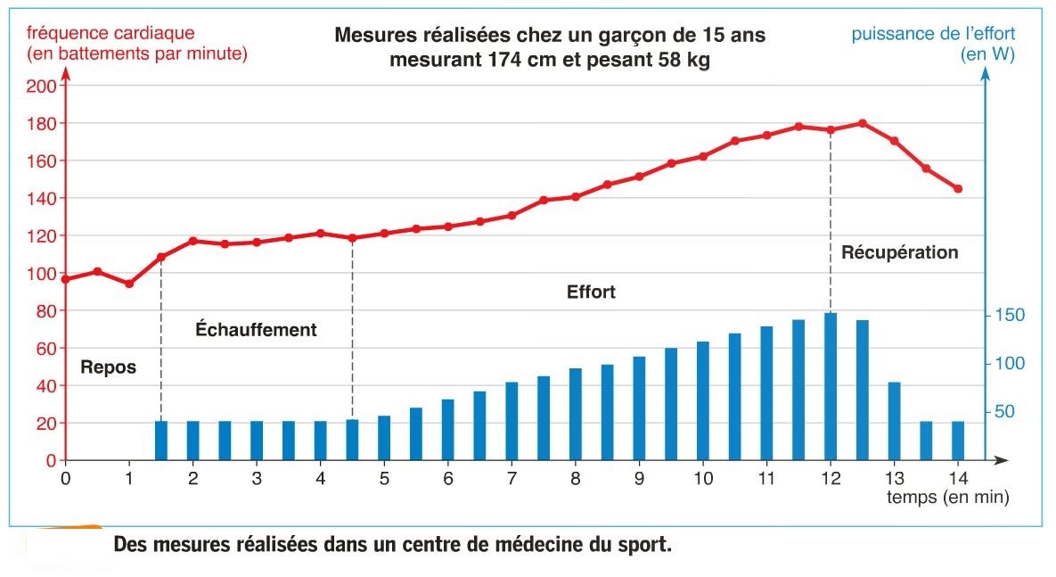 Sciences de la Vie: 5éme>Thème 3 >Ch1