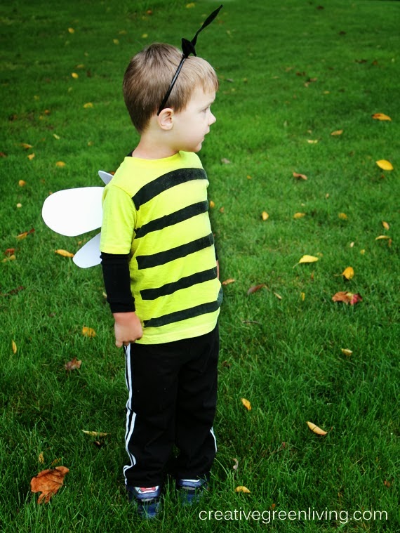 How to Throw a Bee Party on a Dollar Store Budget | Creative Green Living