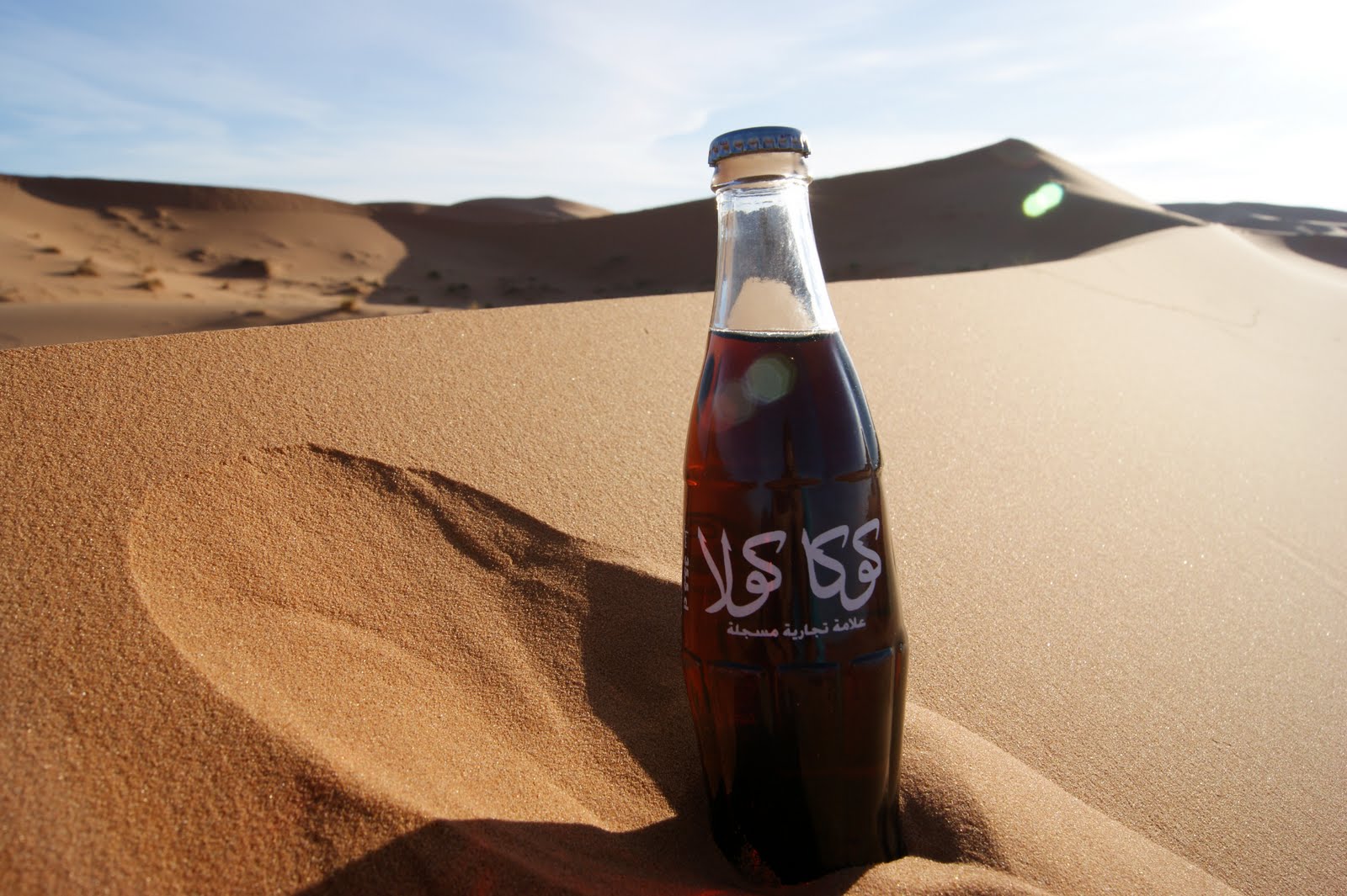 REFLEXIONES DE LA VIDA DIARIA: LA ULTIMA COCA COLA DEL DESIERTO