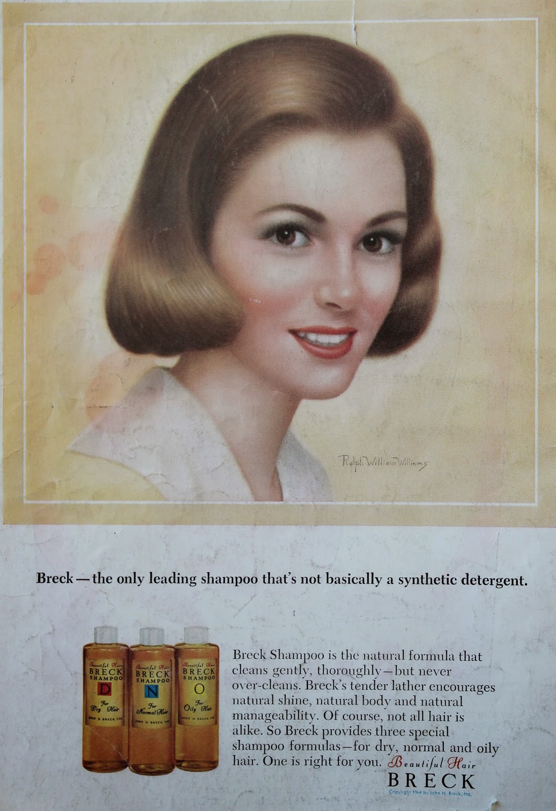 A Little Bit of Everything: Breck Shampoo and The Breck Girls