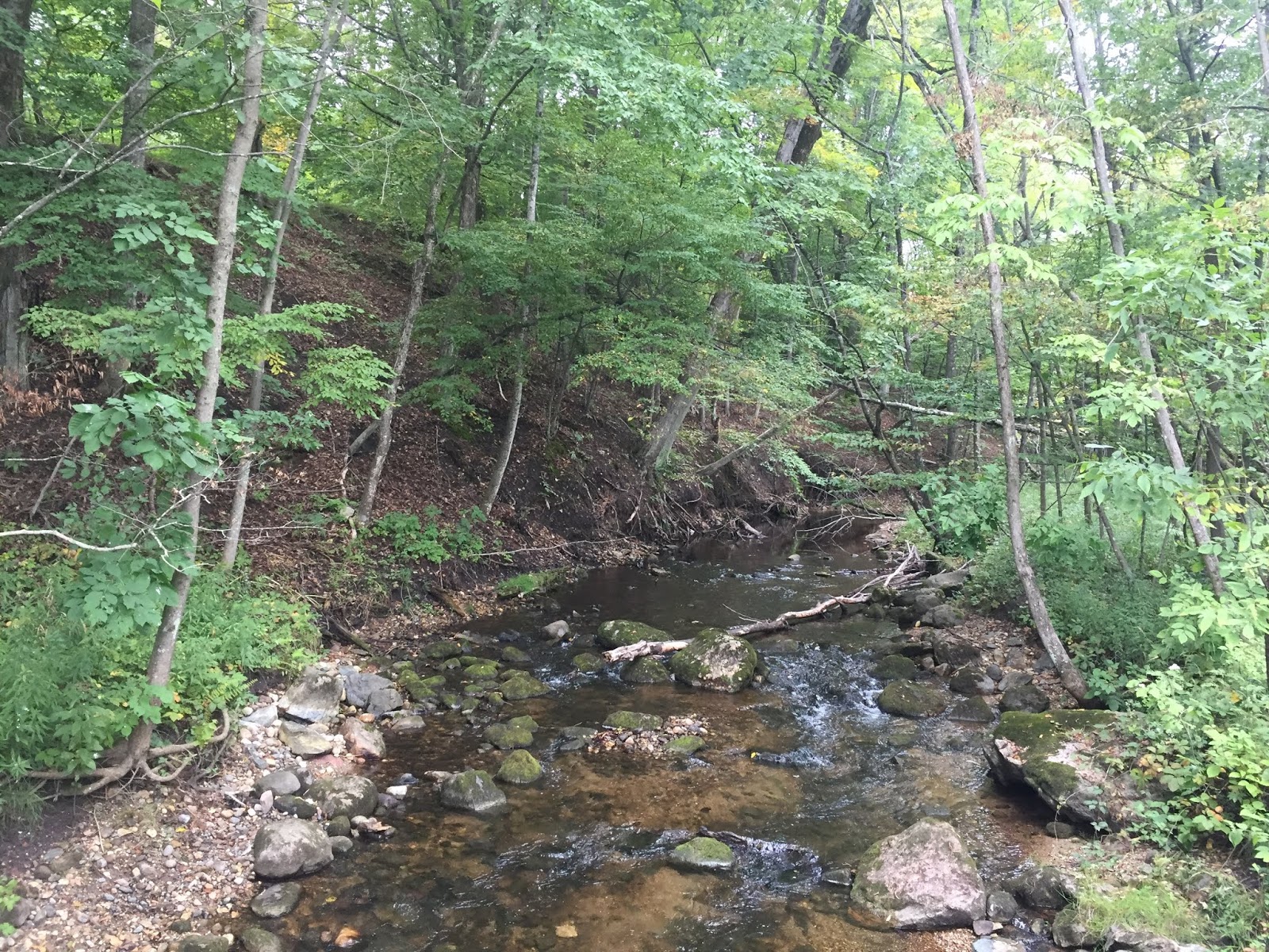 Travel Reviews & Information: Paris, Michigan (Mecosta County): Paris ...