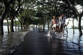Natural scenery of bangladesh: Rainy season of Bangladesh