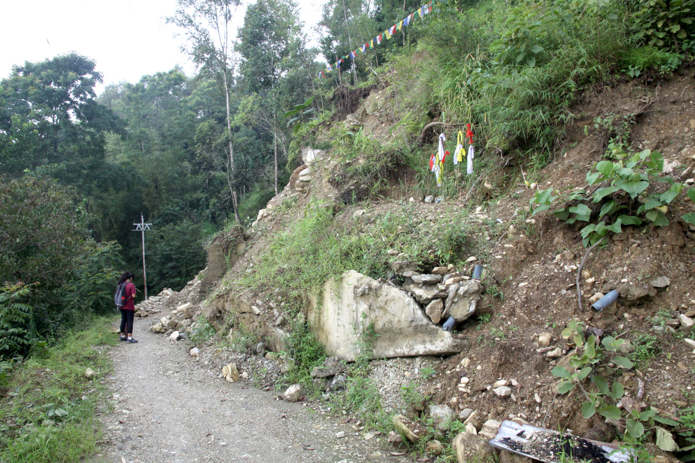 Visions of Hell: Landslide Report 1 (Kalimpong) July2020 Visions of Hell: Landslide Report 1 (Kalimpong) July2020