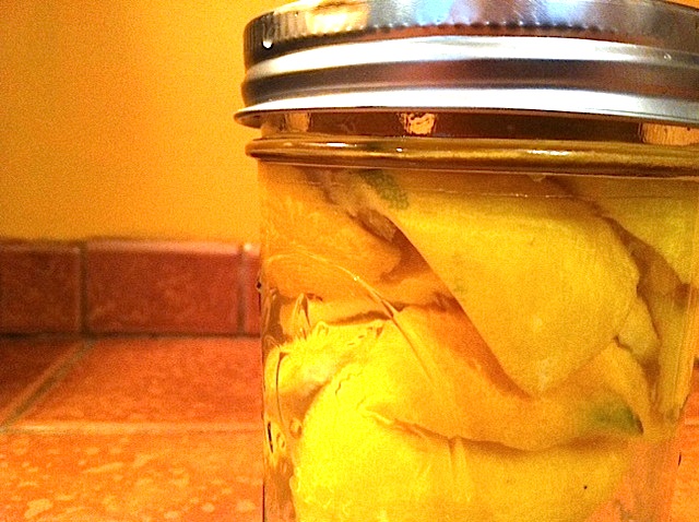 The Fancy Girls Guide to Being Poor: When life hands you old lemons ...