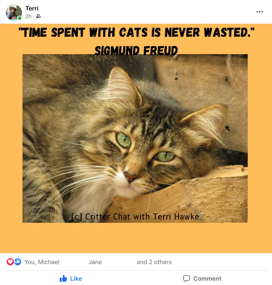 My Summer Vacation: Blood Borne Pathogens