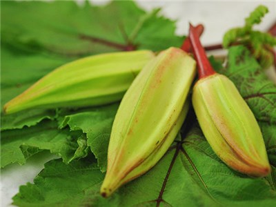 Varieties or Types of Okra - G&D Mega Farm