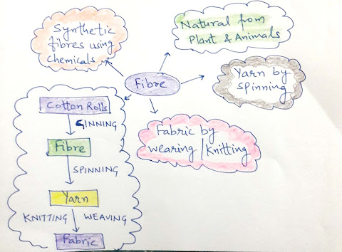 SCIENCEWORKPLACE FOR CLASS VI: Chapter 3- Fibre to fabric