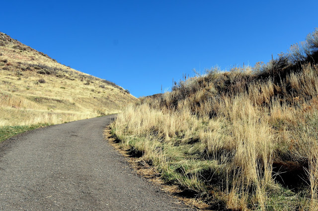 Mille Fiori Favoriti: North Table Mountain Trail and Park, Golden, Colorado