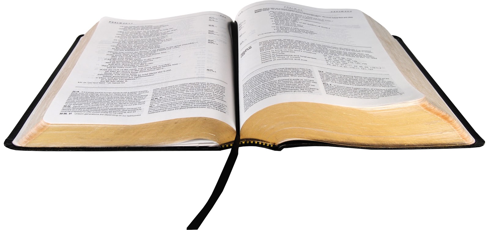 CHRIST S AMBASSADORS TOP 100 BIBLE VERSE christ-s-ambassadors-top-100-bible-verse