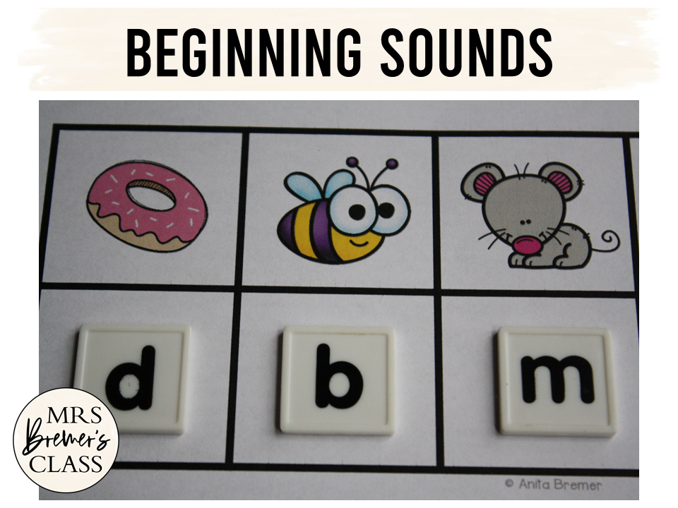 More Pinterest-Inspired Creations | Mrs. Bremer's Class