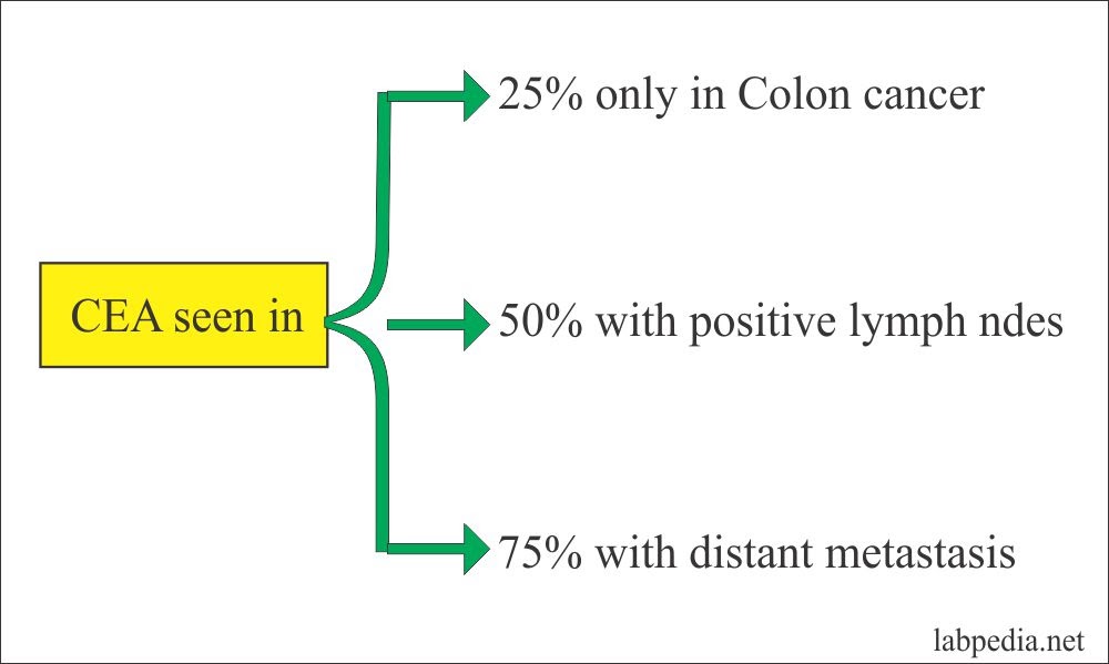 CEA စစ်နည်း