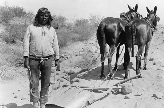 Jesse's Blog: A History of Farm Labor in California (Part 3)