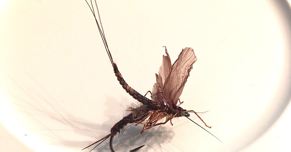 Tradd's Flies: Emerging Mayfly
