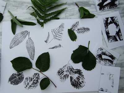 Linden Grove: Nature Printing