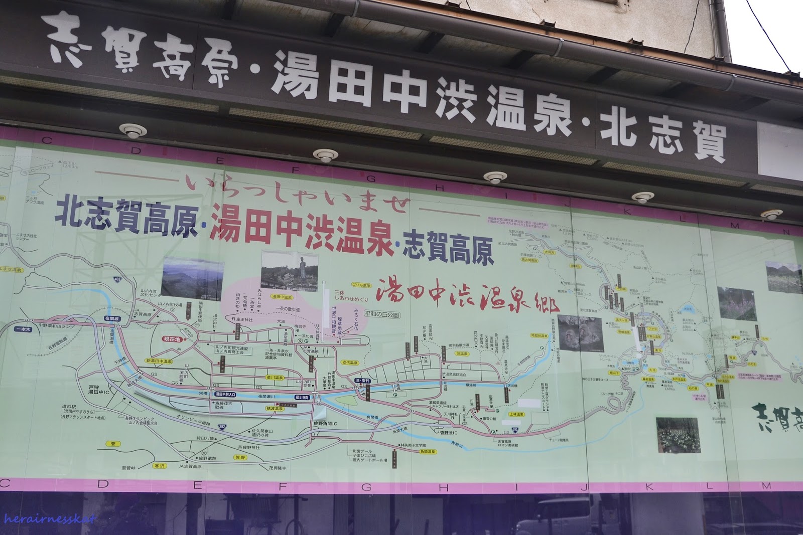 travel log: JIGOKUDANI SNOW MONKEY PARK featuring RYUO SKI PARK