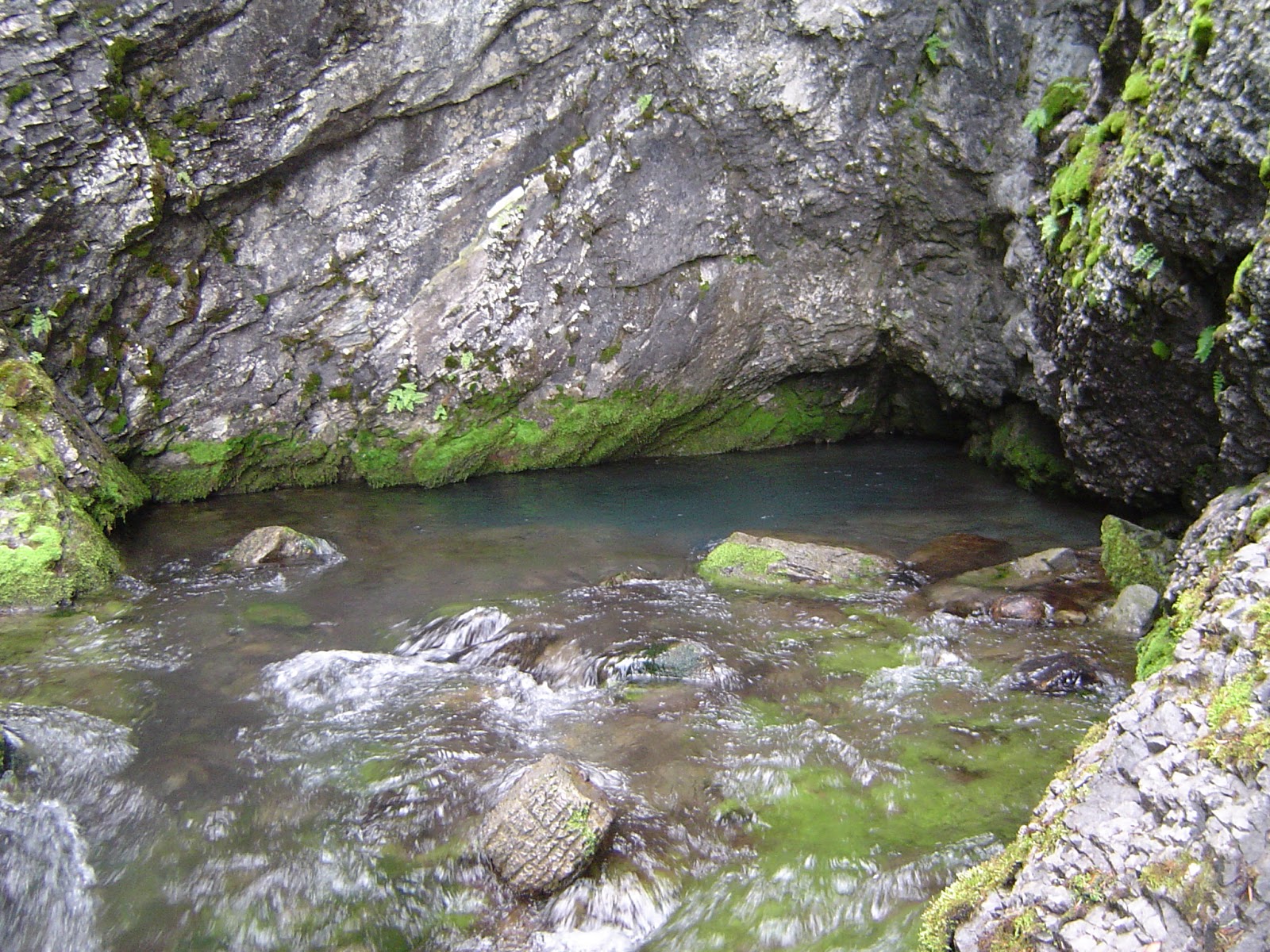 60 for 60: 28. Karst Springs