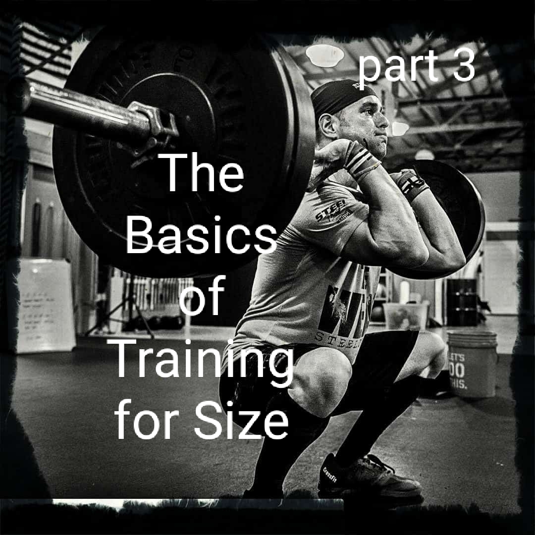 Fit-o-vation: The Basics of Training for Size, Part 3: Full Body Workouts