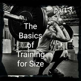 Fit-o-vation: The Basics of Training for Size, Part 3: Full Body Workouts