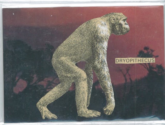 365 Artist Trading Cards A Year: #233 - Dryopithecus
