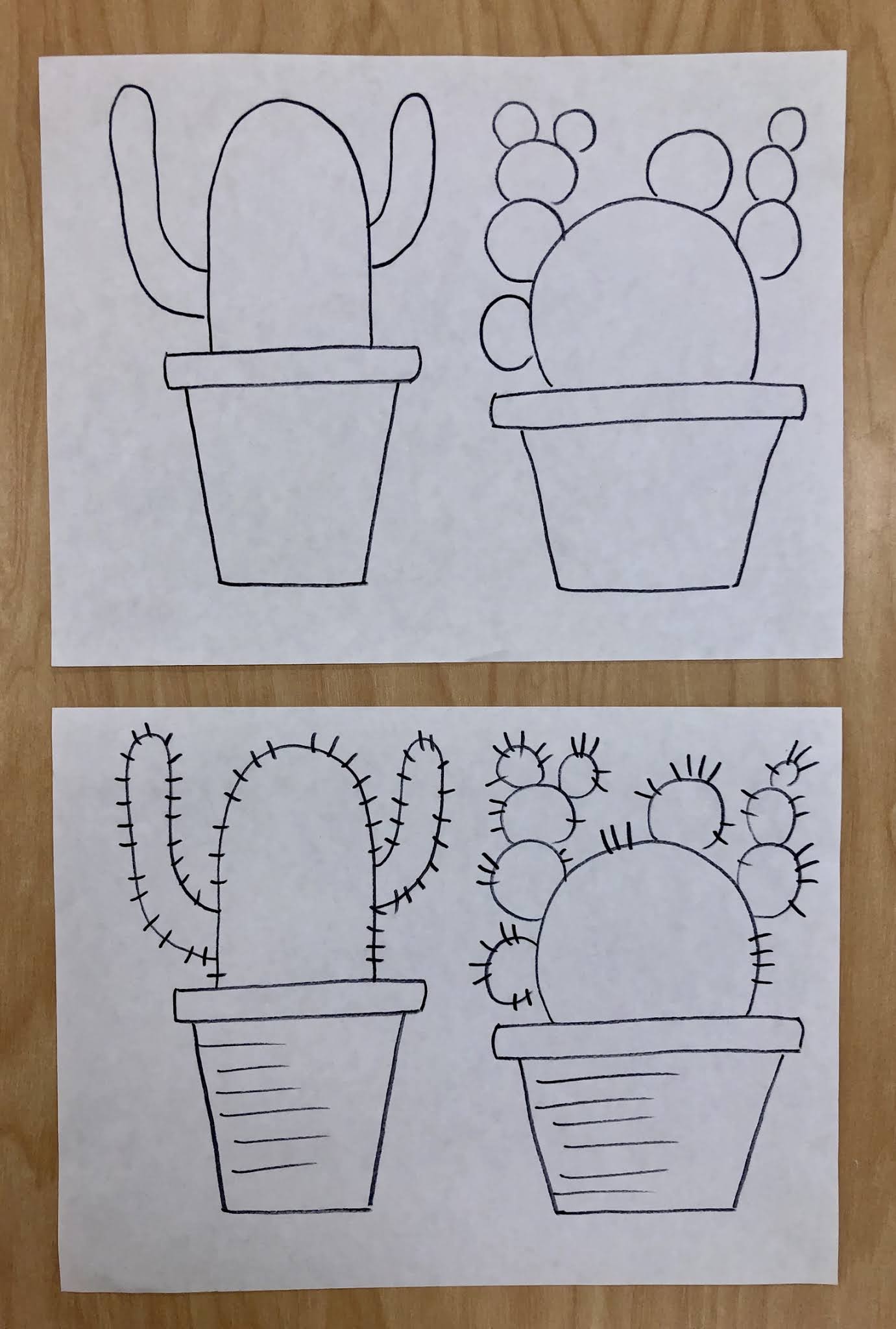 Art with Mr. Giannetto: 1st Grade Cactus Art Projects