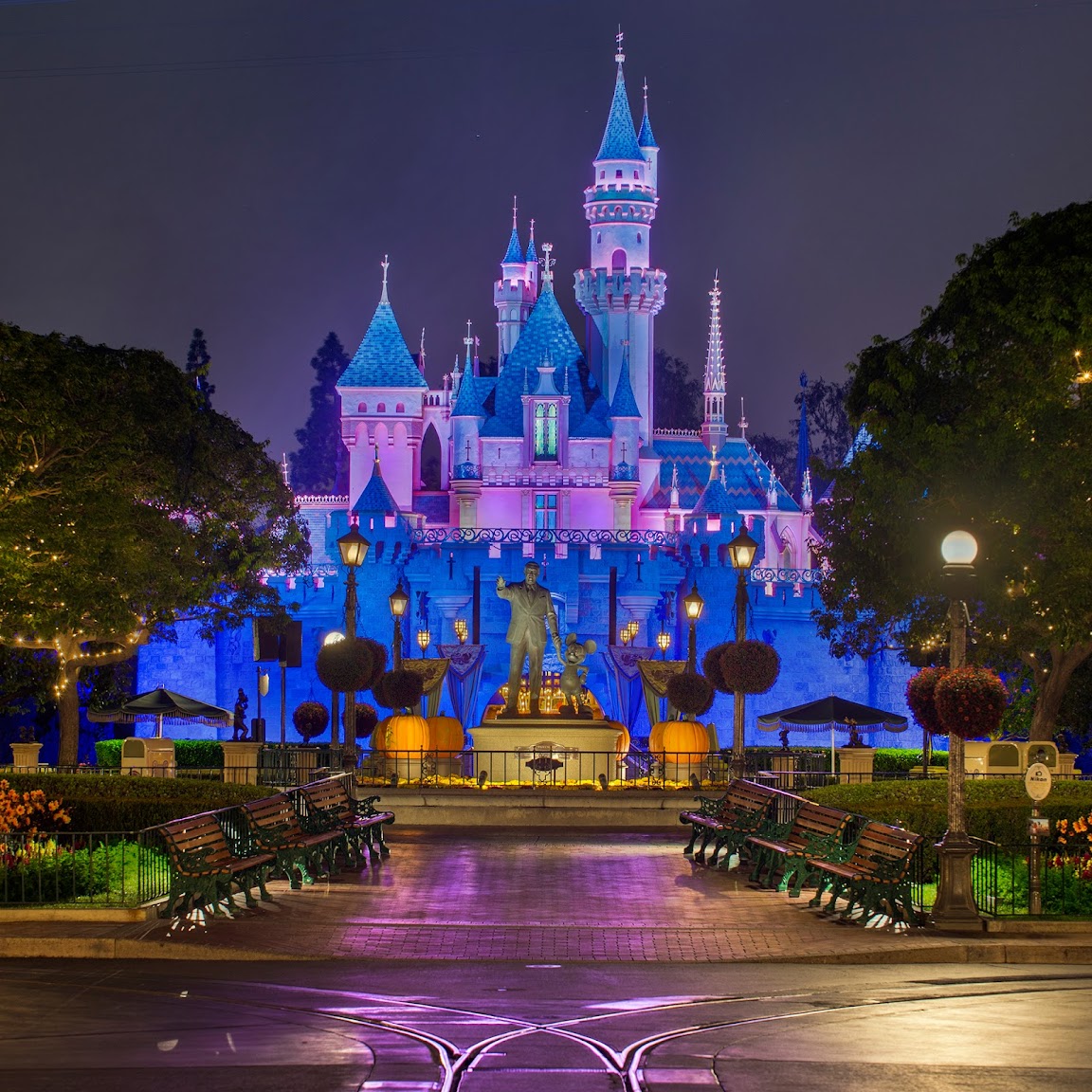 Disney Photoblography