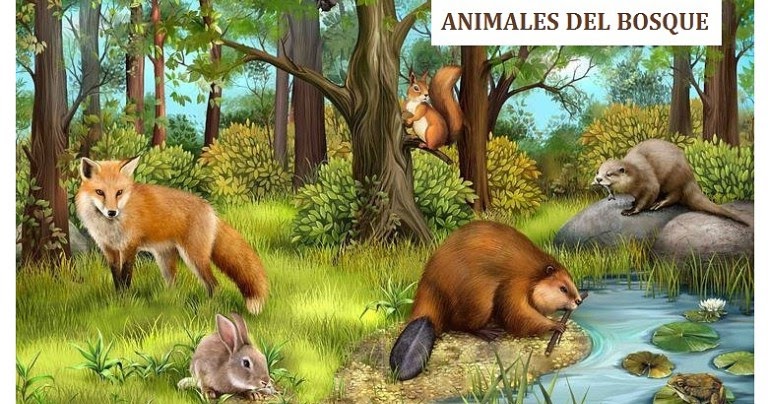 COLEGIO DE CHERIN : ANIMALES DEL BOSQUE