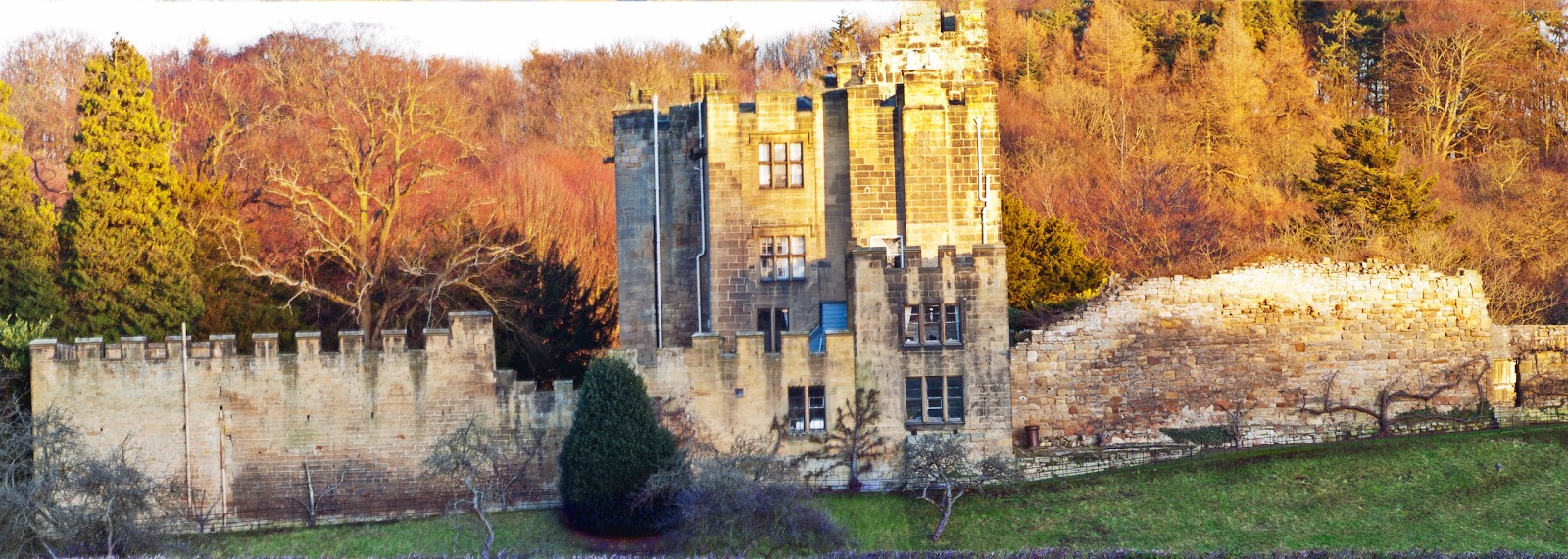 John Barnes - Cheviot Walker: January 2012