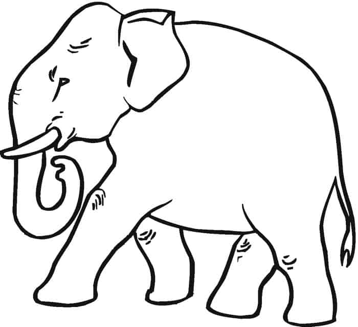 Elephant Coloring Pages - Yuk Sebar