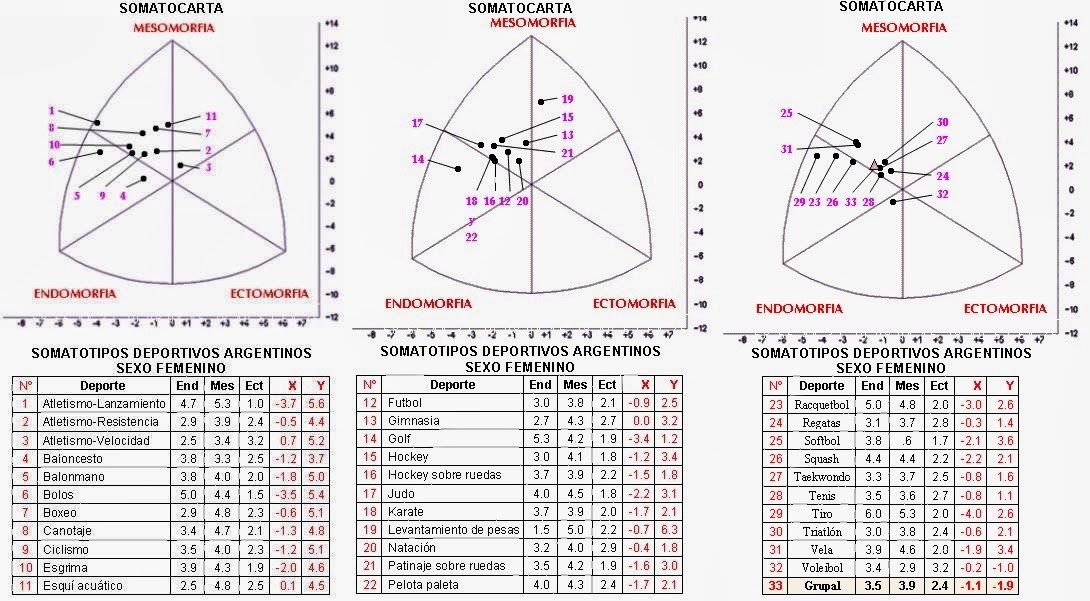 Como interpretar el Somatotipo | PerfilAntropométrico