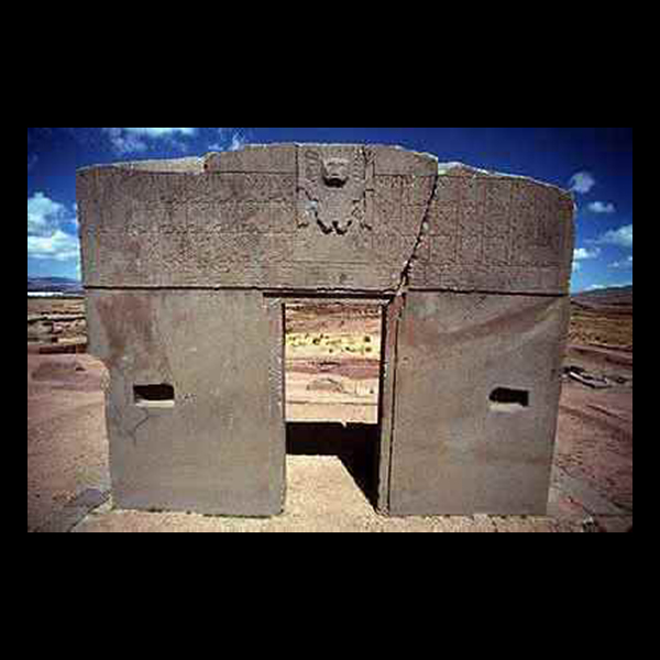 PUMA PUNKU | The World
